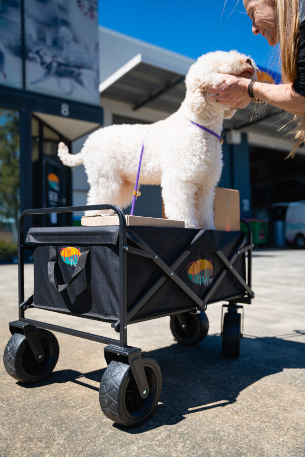 Plush Puppy Trolley Cart - Plush Puppy